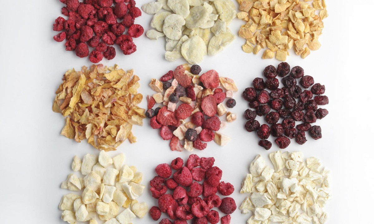 [기술정보] 동결건조의 장,단점 / Application / 제품 선택시 고려할 점 : (주)플로켐│FLOCHEM