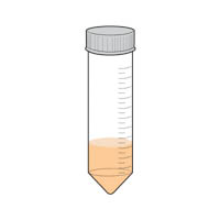 Falcon tube : INFOGRAPHY (인포그라피)