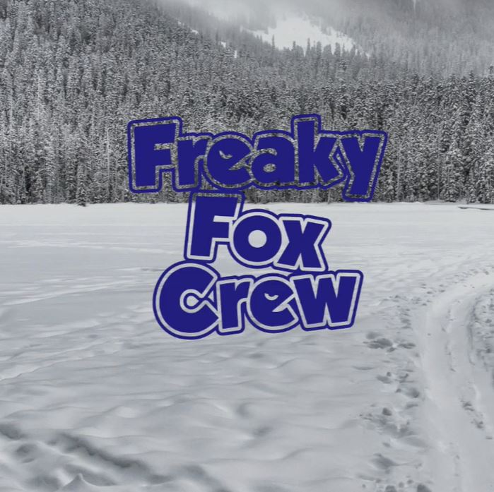 [환경 X 기술] 웹 3.0 커뮤니티 괴짜 여우 응원단 Freaky Fox Crew 북극여우 응원단증 발급 시작! : 알맹상점