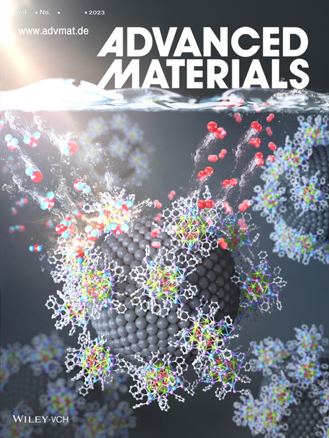 Wiley_ADVANCED MATERIALS : nanosphere.co.kr