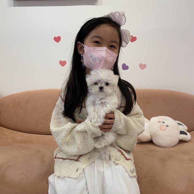 [분양후기] 05-07 말티즈 분양후기 : 강아지를 진심으로 사랑하는 소녀에서 시작된 브랜드, YOURPET (유어펫) 고객후기