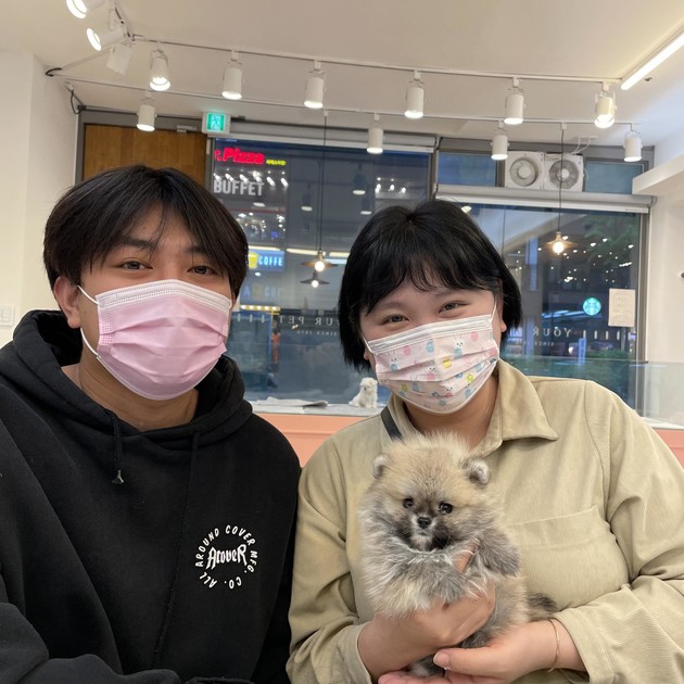 [분양후기] 05-05 포메라니안 분양후기 : 강아지를 진심으로 사랑하는 소녀에서 시작된 브랜드, YOURPET (유어펫) 고객후기