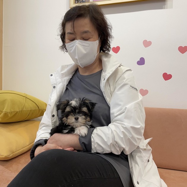 [분양후기] 05-05 말티치 분양후기 : 강아지를 진심으로 사랑하는 소녀에서 시작된 브랜드, YOURPET (유어펫) 고객후기