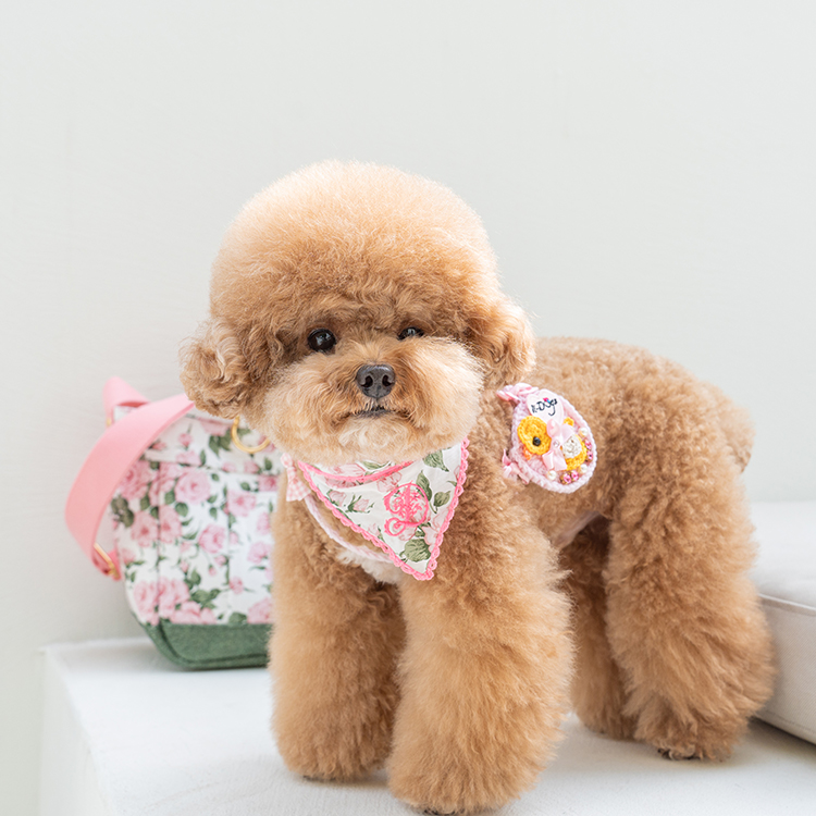 [it-dogs] Pulcino Bag 2COLOR : 디자인포도그