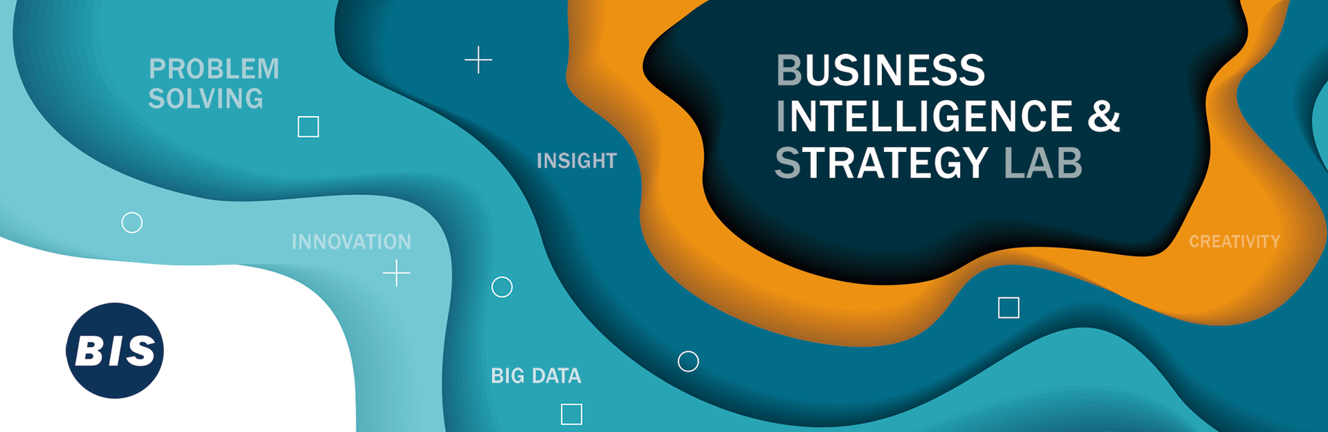 BIS - Business Intelligence & Strategy Lab