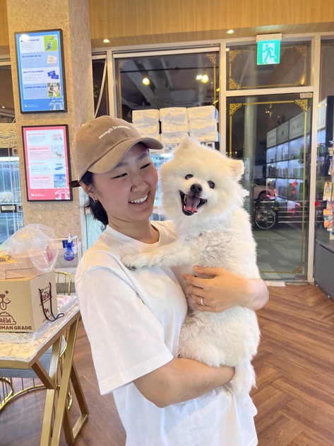 폼피츠 마루 책임분양 래브라도리트리버입양 닥스훈트입양 도베르만입양 말티치입양 말티폼입양 빠삐용입양 사모예드입양 스피츠입양 시바견입양 시베리안허스키입양 시츄입양 요크셔테리어