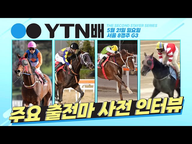 [2023 YTN배 사전인터뷰] 어차피 우승은 위너스맨?! 스테이어 시리즈 2관문의 주인공은? : 마사일호 트리플나인 경마방송