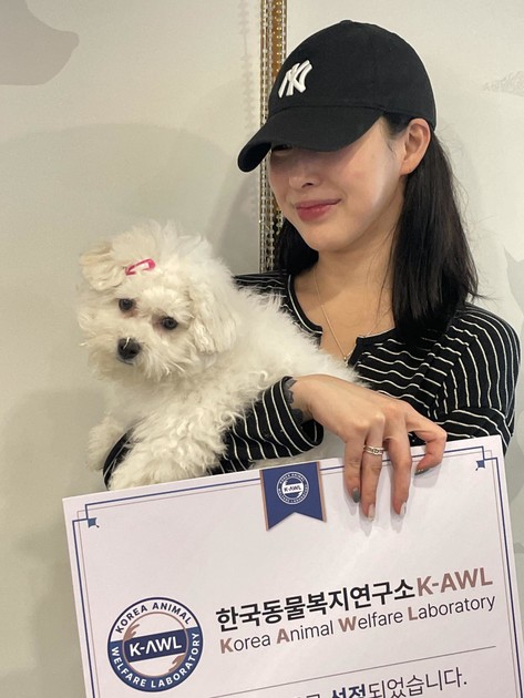 비숑프리제 튼이 애완견성격 반려견성격 소형견크기 중형견크기 미니비숑프리제크기 토이푸들크기 골든리트리버크기 래브라도리트리버크기 닥스훈트크기 도베르만크기 말티치크기 말티폼크기