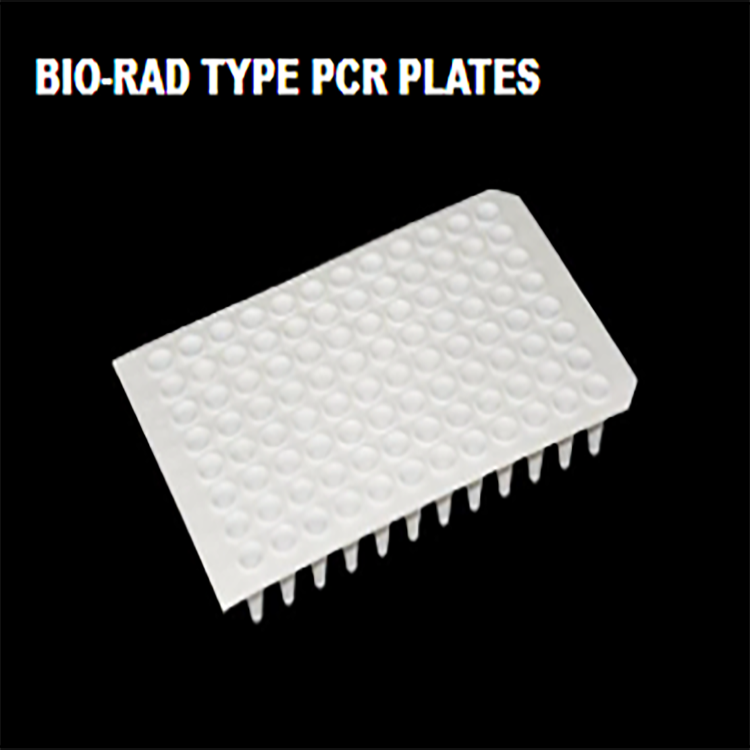96 WELL PLATES - BIO-RAD type Plates - BR-01W-G006 : (주)시너진