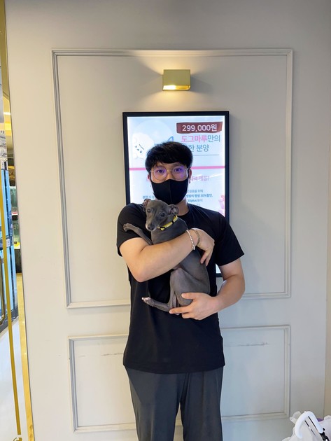 이탈리안그레이하운드 산이 유기견입양 유기묘입양 강아지입양 소형견입양 중형견입양 대형견입양 말티즈입양 말티푸입양 비숑프리제입양 미니비숑프리제입양 포메라니안입양 푸들입양 골든