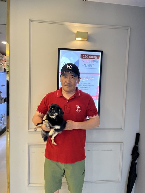 장모치와와 쭈쭈 청주고양이무료분양 동탄고양이무료분양 위례고양이무료분양 청라고양이무료분양 부천고양이무료분양 원주고양이무료분양 광주고양이무료분양 부산고양이무료분양 대구고양이무료