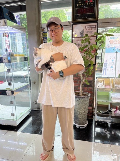 코리안숏헤어 미유 애완견성격 반려견성격 소형견크기 중형견크기 미니비숑프리제크기 토이푸들크기 골든리트리버크기 래브라도리트리버크기 닥스훈트크기 도베르만크기 말티치크기 말티폼크기