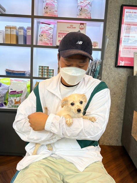 믹스견 몽실 말티즈전문보호소 말티푸전문보호소 푸들전문보호소 먼치킨전문보호소 랙돌전문보호소 브리티쉬숏헤어전문보호소 스코티쉬폴드전문보호소 러시안블루전문보호소 강아지전문보호소