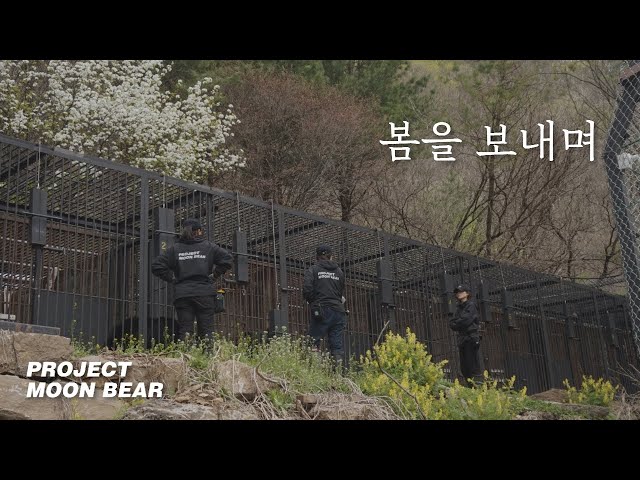 봄을 보내며 : 자료실