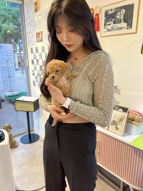 [분양후기] 05-31 말티푸 분양후기 : 강아지를 진심으로 사랑하는 소녀에서 시작된 브랜드, YOURPET (유어펫) 고객후기