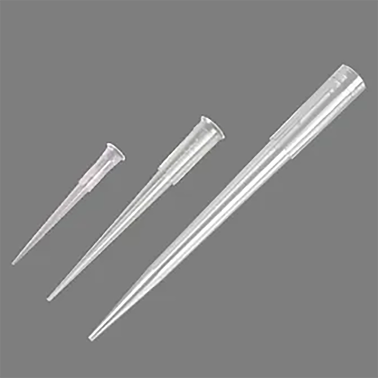 GLong Series Pipette Tips - 1000UL LONG PIPTTE TIPS : (주)시너진