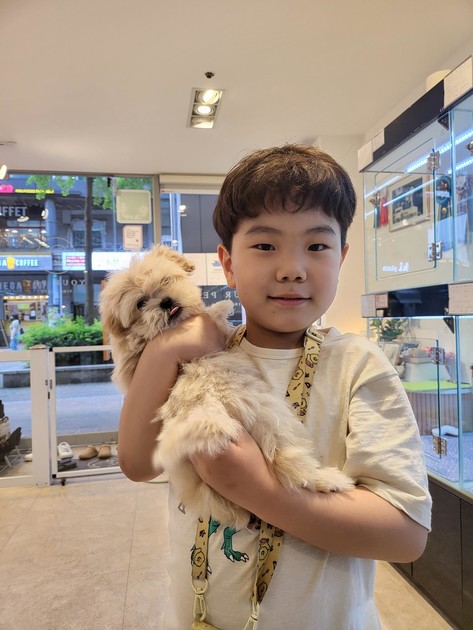 [분양후기] 05-31 말티푸 분양후기 : 강아지를 진심으로 사랑하는 소녀에서 시작된 브랜드, YOURPET (유어펫) 고객후기