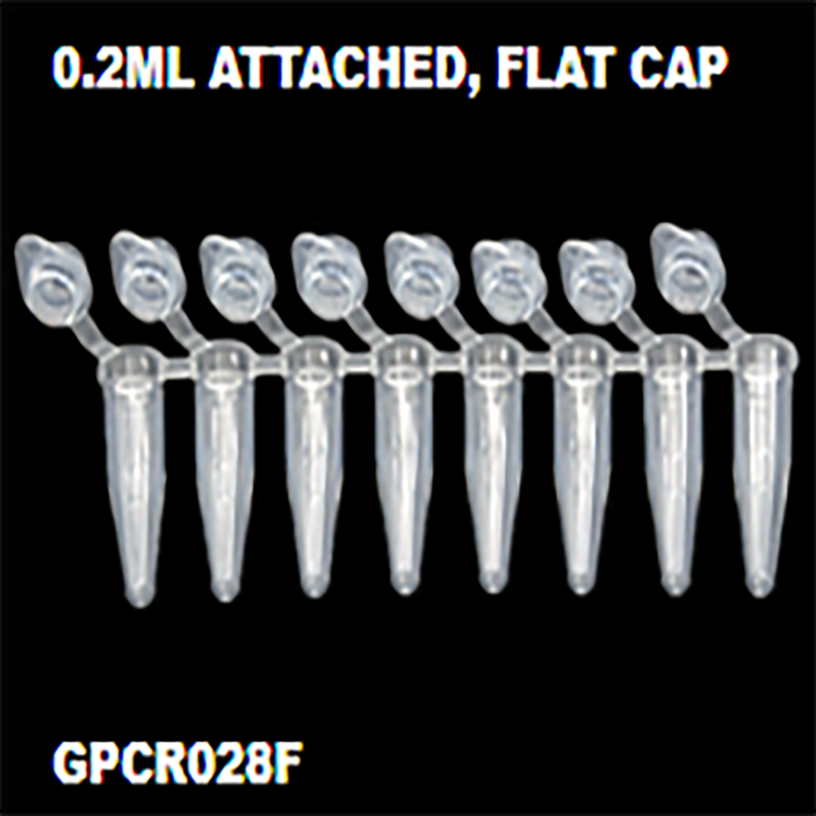 시너진 제품 정보 GMB GPCR028F