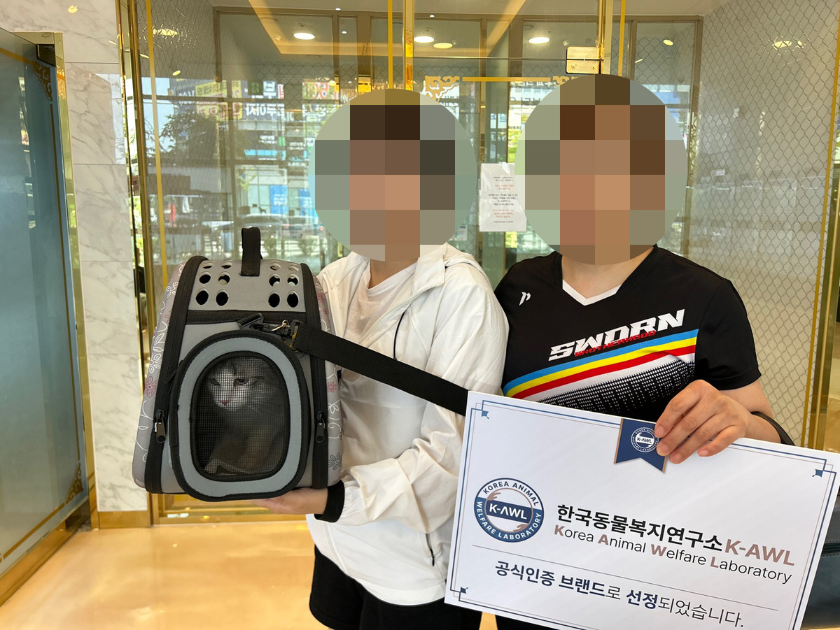 렉돌 나옹이 엑조틱크기 터키시앙고라크기 페르시안크기 하이랜드폴드크기 애완견크기 반려견크기 소형견무료입양사이트 중형견무료입양사이트 대형견무료입양사이트 미니비숑프리제무료입양