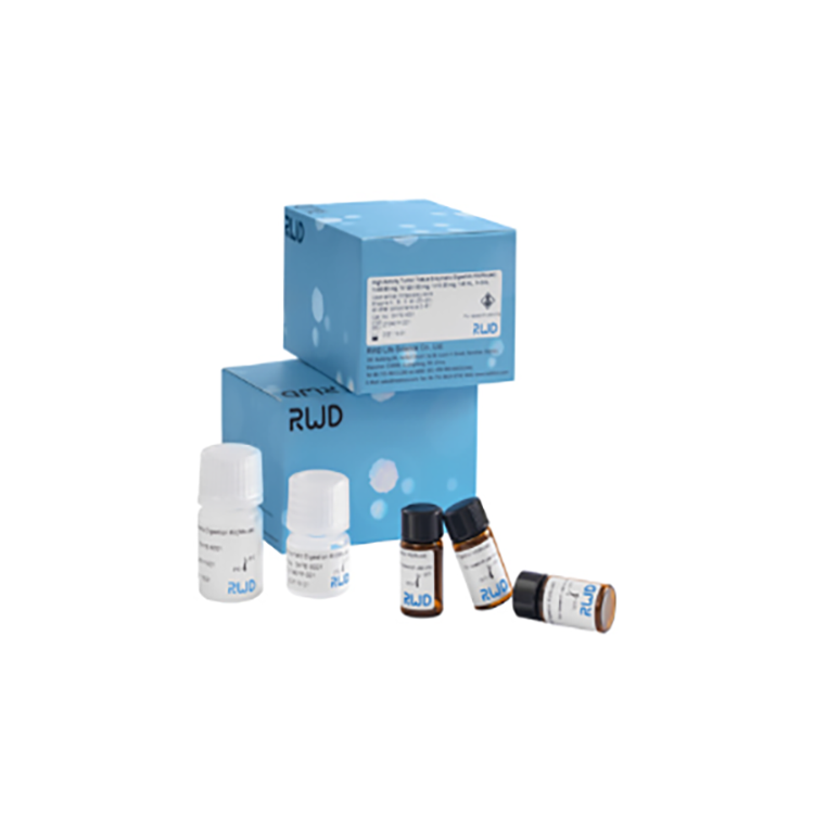 시너진 제품 정보 RWD Life Science Tissue