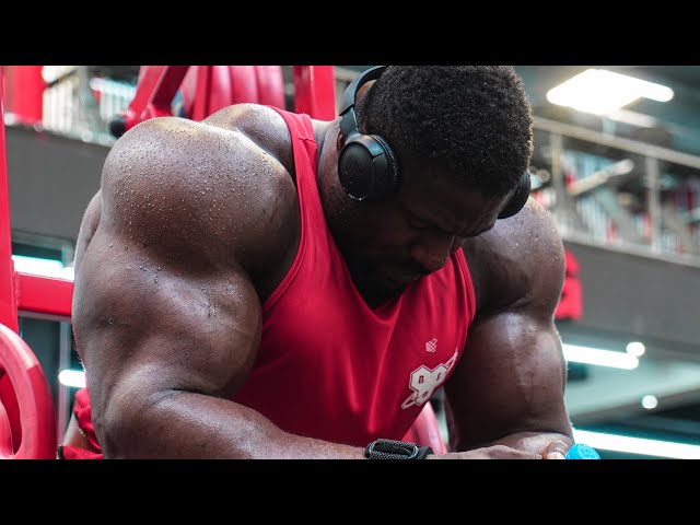 앤드류 잭드 등 이두 Andrew Jacked Back Biceps : 프로 훈련법 - 제로투히어로