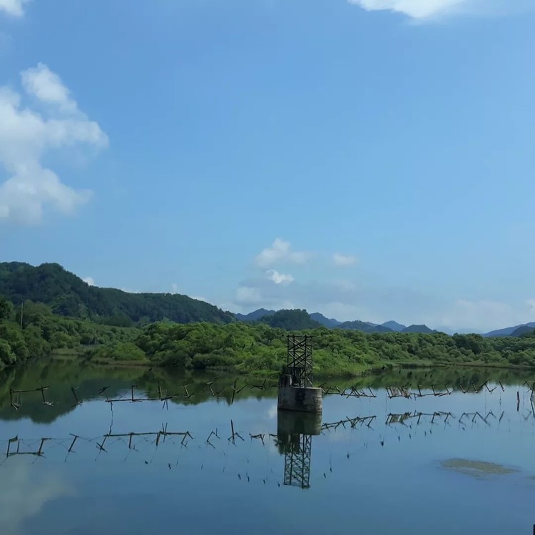 [TOUR FROM PYEONGTAEK] 06/24 CHEORWON ART & DMZ TOUR : Korea Tour Planner