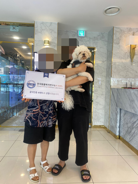 비숑프리제 싸피 말티즈크기 말티푸크기 푸들크기 먼치킨크기 랙돌크기 브리티쉬숏헤어크기 스코티쉬폴드크기 러시안블루크기 강아지크기 고양이크기 유기견임시보호 유기묘임시보호 강아지