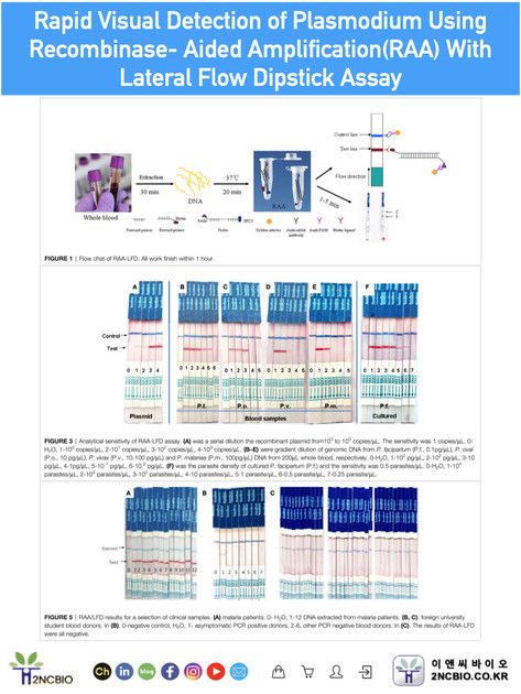 Rapid Visual Detection of Plasmodium Using RAA-LFD Assay : Multienzyme ...