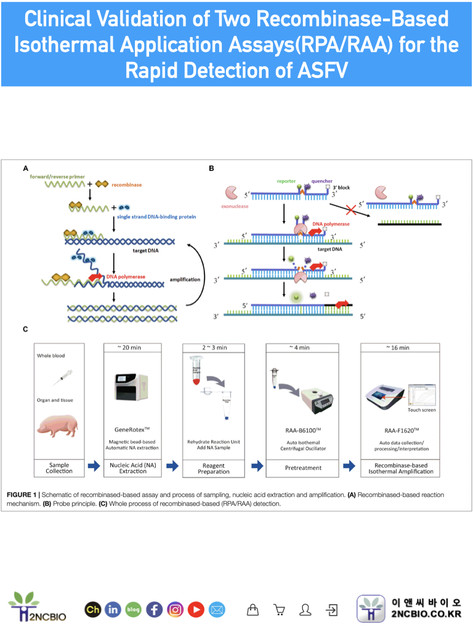 Clinical Validation of RPA/RAA assays for the Rapid Detection of ASFV ...