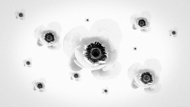 CHANEL, The boutique tool : mg25