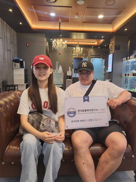 코리안숏헤어 연두 프렌치불독크기 빠삐용크기 파피용크기 사모예드크기 스피츠크기 시바견크기 시베리안허스키크기 시츄크기 요크셔테리어