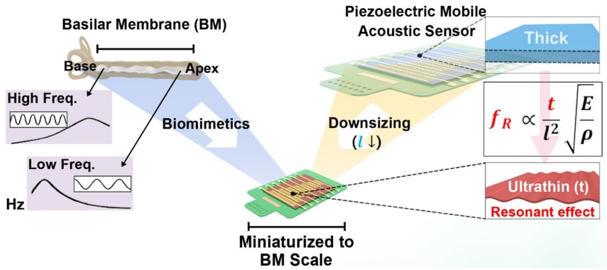 Flexible Piezoelectric Acoustic Sensor : KAIST HAND group