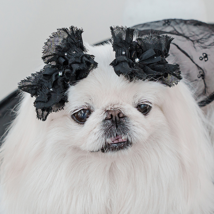 [메이독] 썸머엔젤헤어핀 3COLOR : 디자인포도그