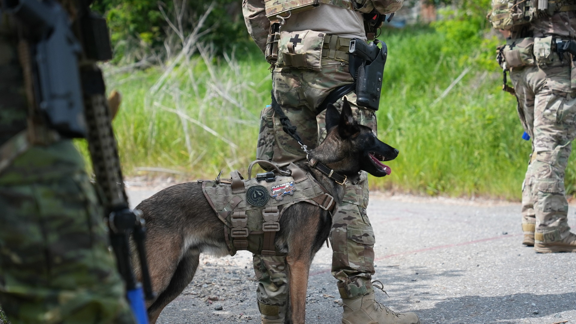 ALL NECESSARY TACTICS