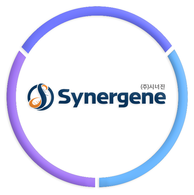 시너진 회사 소개 사업영역