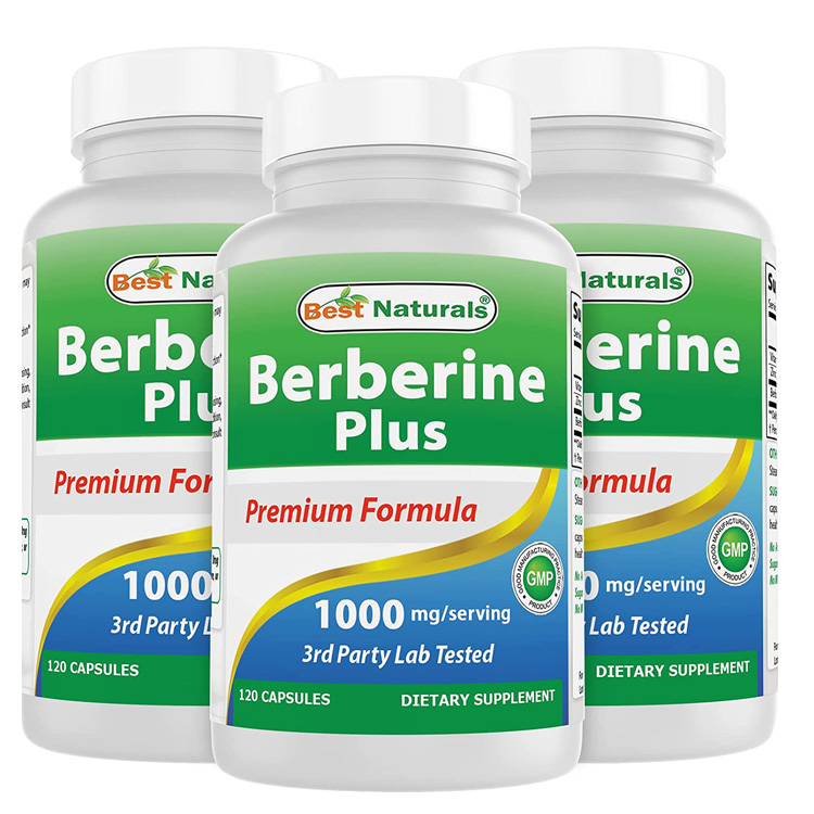 베스트 네츄럴스, 베르베린 플러스 1000mg - 120캡슐 x 3병 / Best Naturals Berberine Plus 1000mg per Serving 120 ...