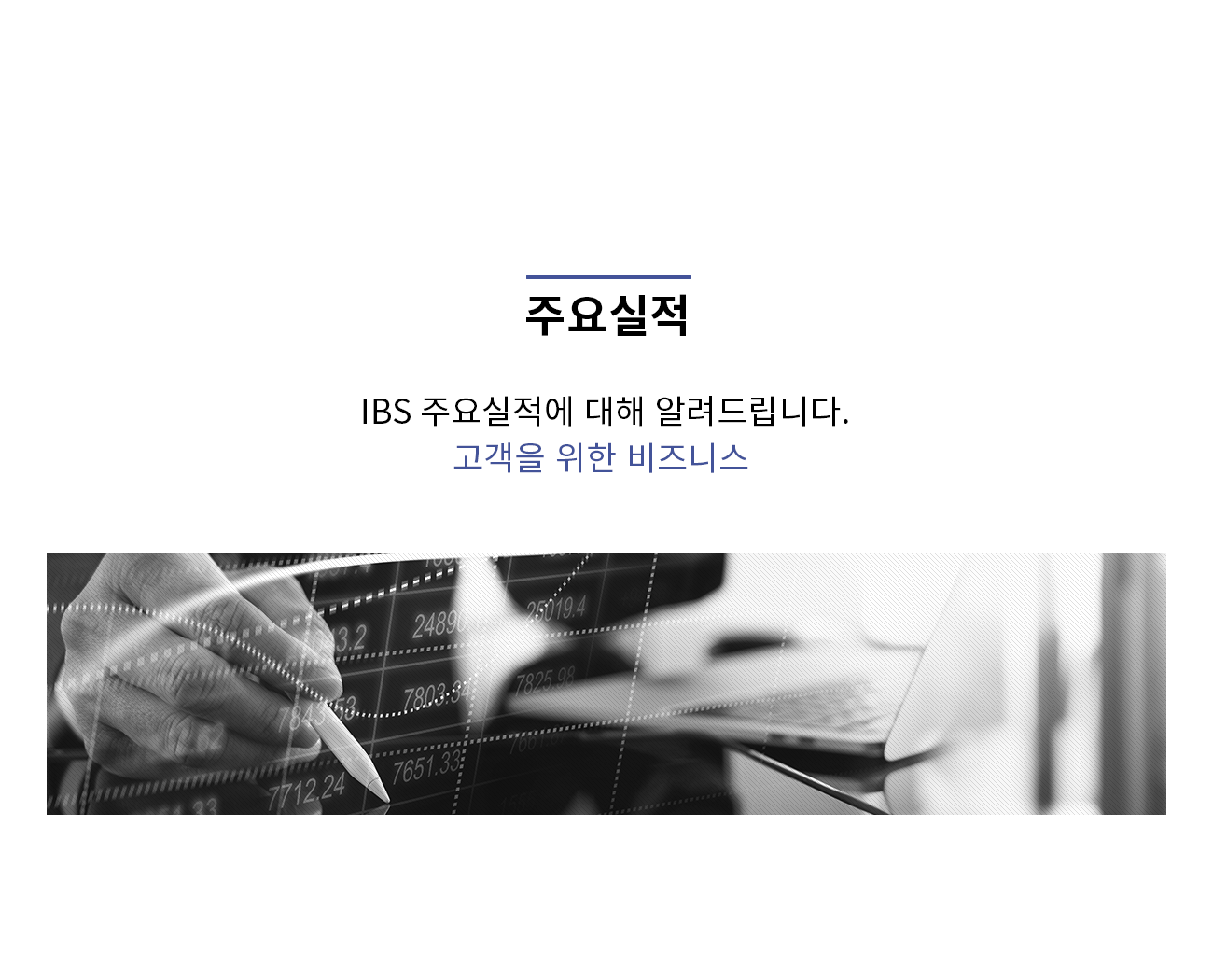 IBS consulting