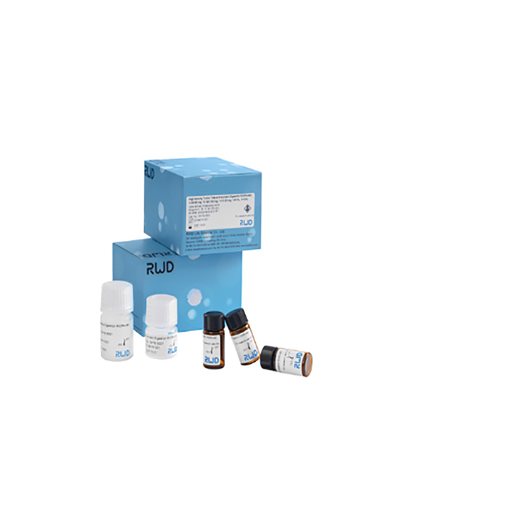 Tissue Enzymatic Digestion Kit : (주)시너진