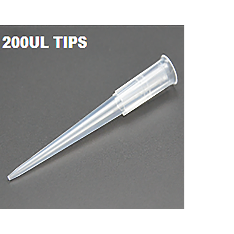 BULKED PIPTTE TIPS - 200UL TIPS : (주)시너진