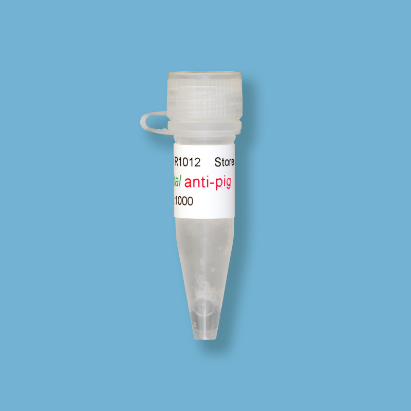 시너진 제품 정보 Kindle Biosciences Digital Anti-Pig IgG-HRP