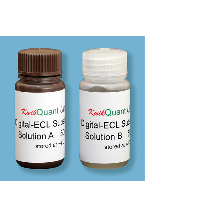 Digital-ECL WB detection kit : (주)시너진