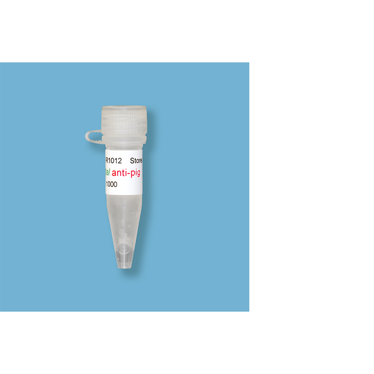 Digital Anti-Pig IgG-HRP : (주)시너진