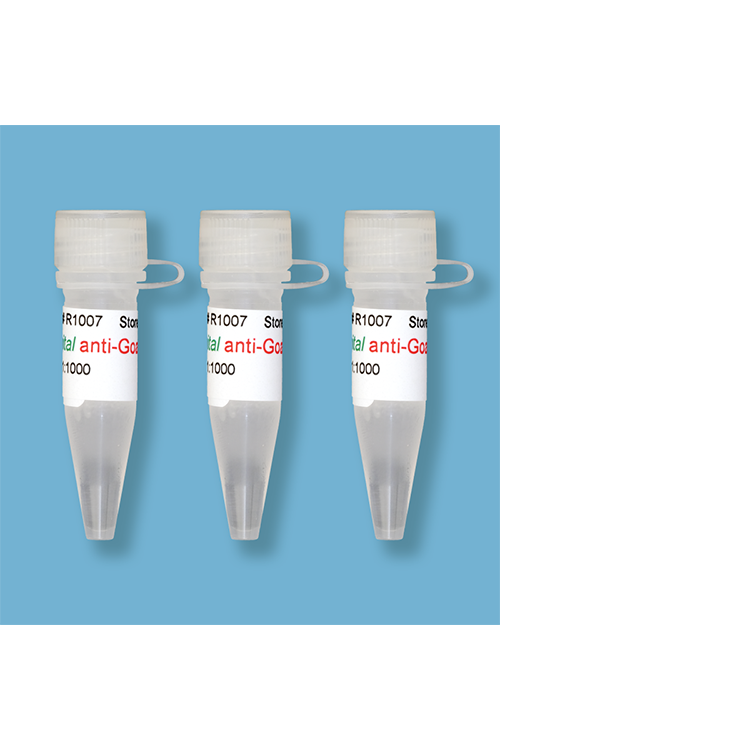 Digital Anti-Goat IgG-HRP : (주)시너진