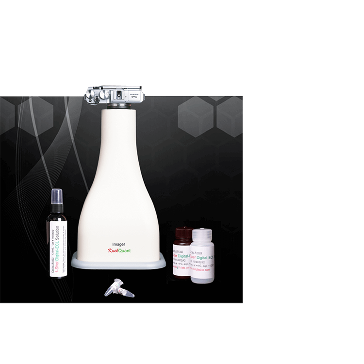 KwikQuant Imager (KQ Imager) : (주)시너진