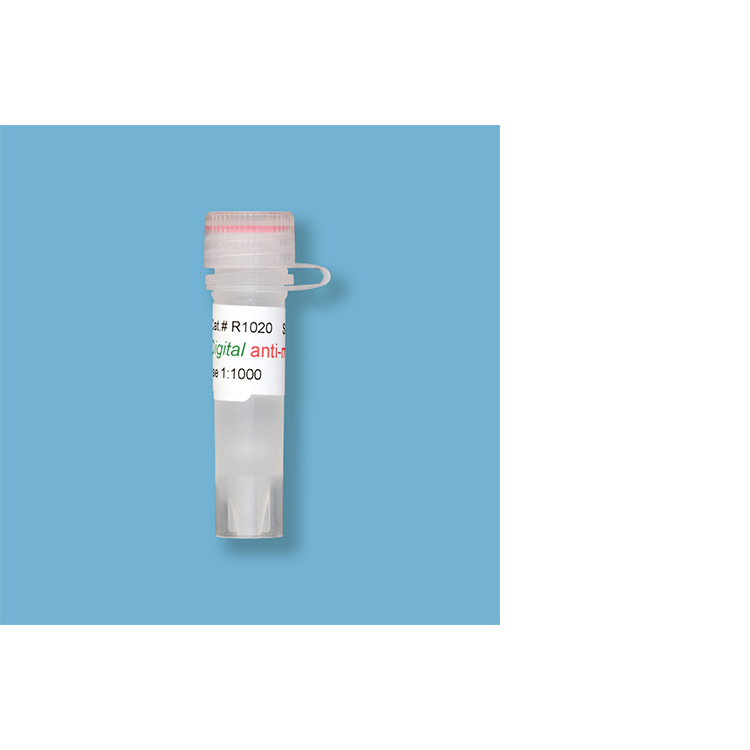 Digital Anti-Mouse (Light Chain)-HRP : (주)시너진