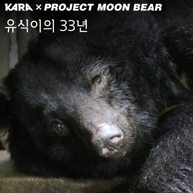 유식이의 33년 : 자료실