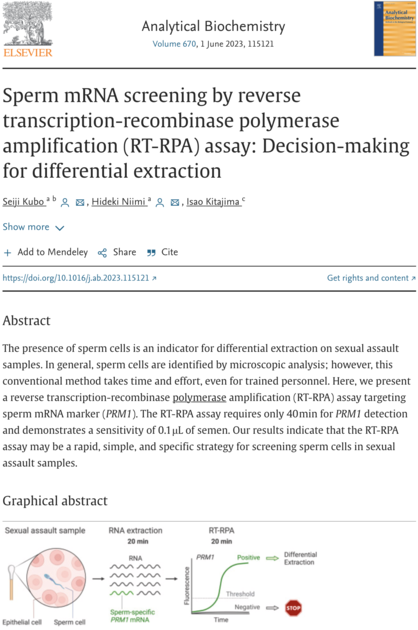 Sperm mRNA screening by reverse transcription-recombinase polymerase ...