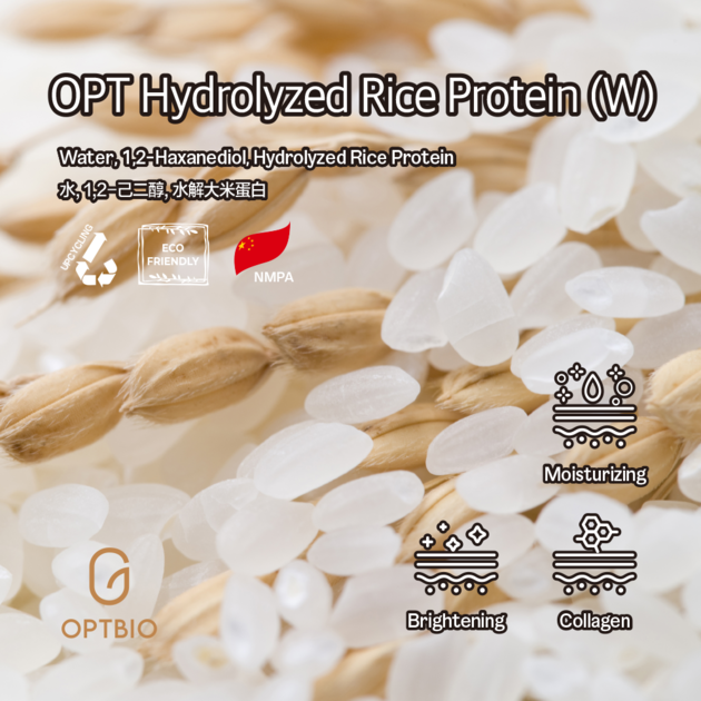OPT Hydrolyzed Rice Protein (W) : OPTBIO | 첨단 바이오 소재 개발 기업
