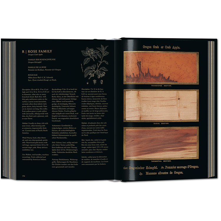 Romeyn B. Hough. The Woodbook. The Complete Plates : 어바웃아트 ABOUTART