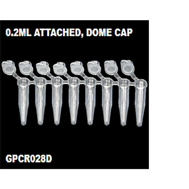 PCR TUBES - 8 STRIP PCR TUBES - 0.2ML ATTACHED, DOME CAP - GPCR028D : (주)시너진